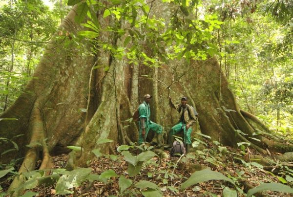 9 Places To Visit In Cameroon - TravelTourXP.com