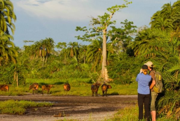 10 Places To Visit In Congo - TravelTourXP.com