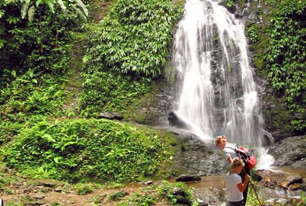 13 Stunning Tourist Attractions In Suriname That You Must Not Miss ...