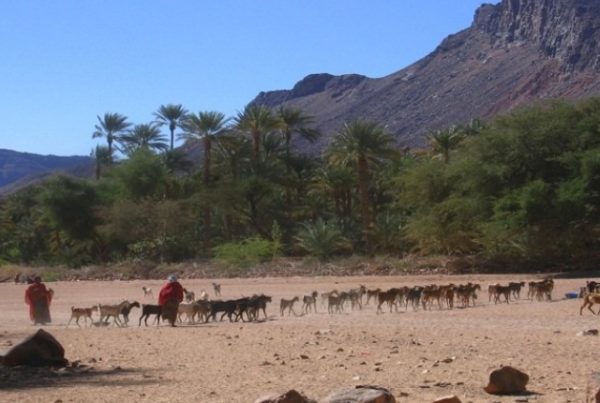 The Top 10 Things To Do In Niger - TravelTourXP.com