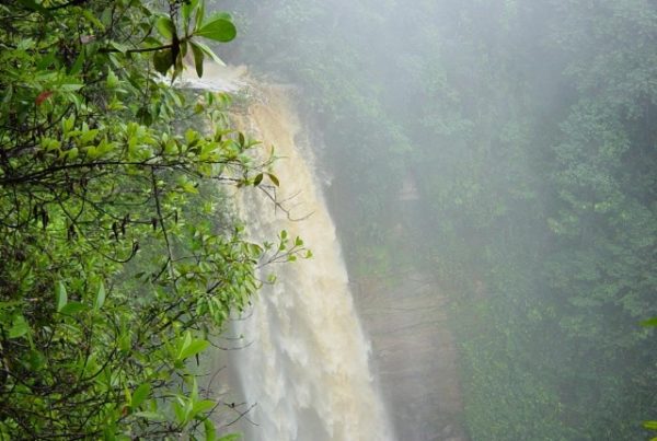 13 Stunning Tourist Attractions In Suriname That You Must Not Miss ...