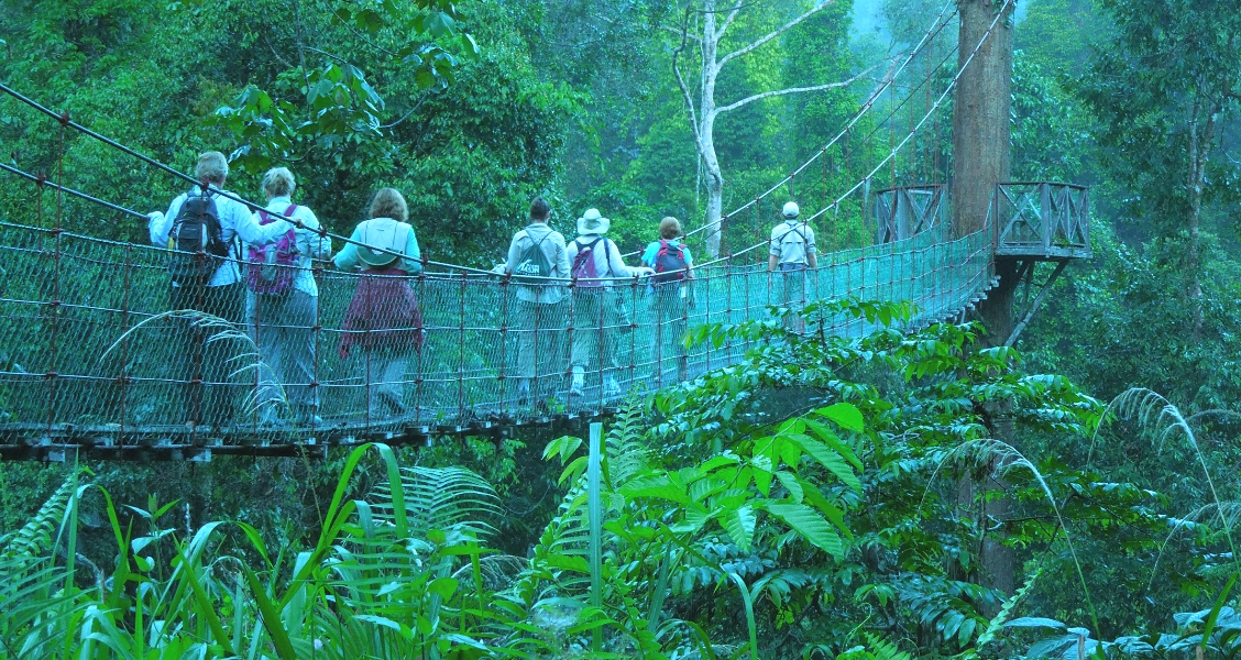 7 Exciting Things To Do In Borneo - TravelTourXP.com