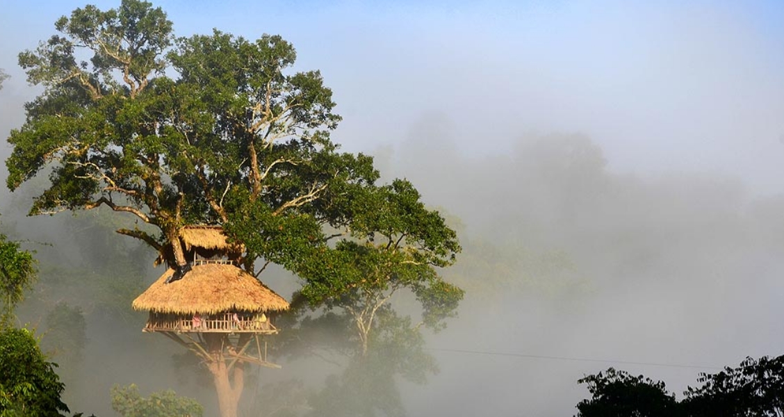 7 Best Tree House Hotels Around The World - TravelTourXP.com