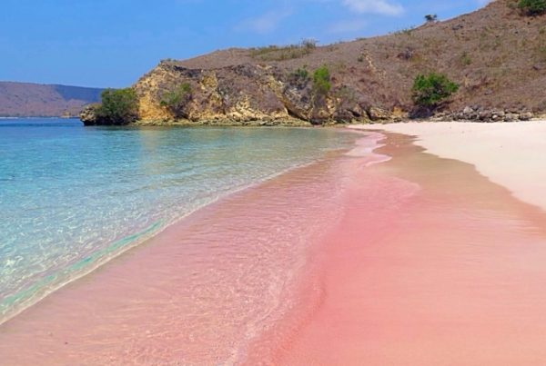 The 7 Magical Pink Beaches Around The World - TravelTourXP.com