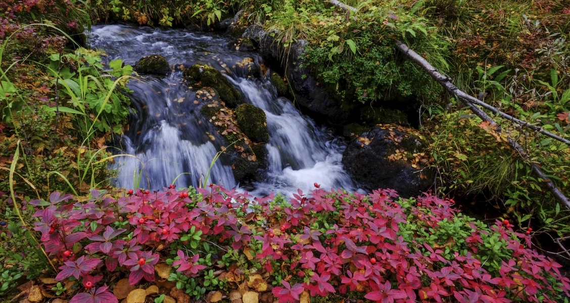 10 Breathtaking Waterfalls In Finland - TravelTourXP.com