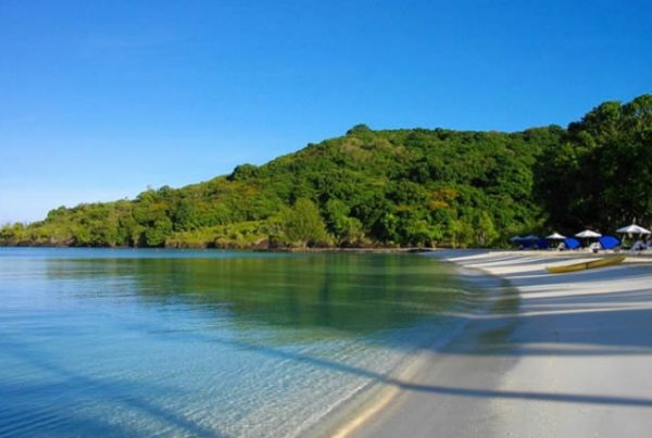 8 Best Tourist Attractions In Palau - TravelTourXP.com