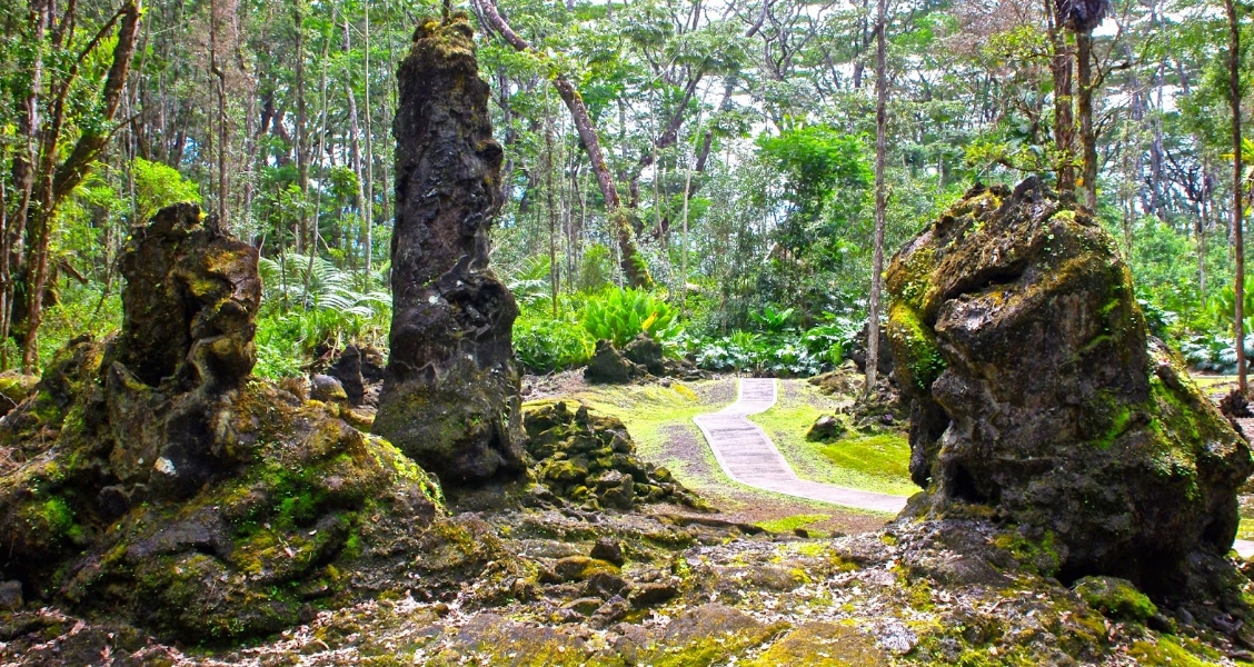 10 Incredible Forests Of The World To Plan Your Vacation - TravelTourXP.com