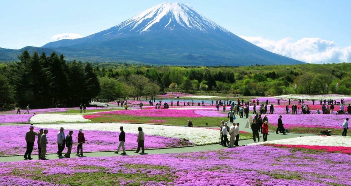 5 Must Visit Interesting National Parks Of Japan - TravelTourXP.com